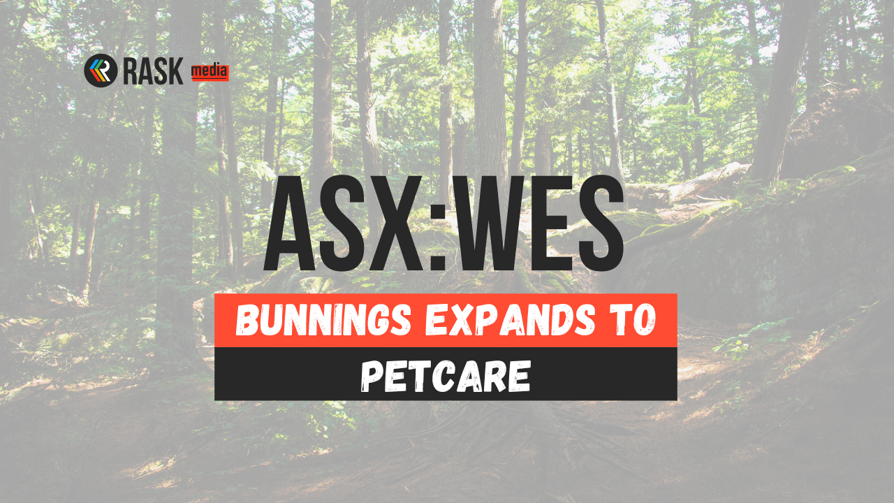 Is this the purrfect Bunnings plan to boost the Wesfarmers (ASX:WES ...