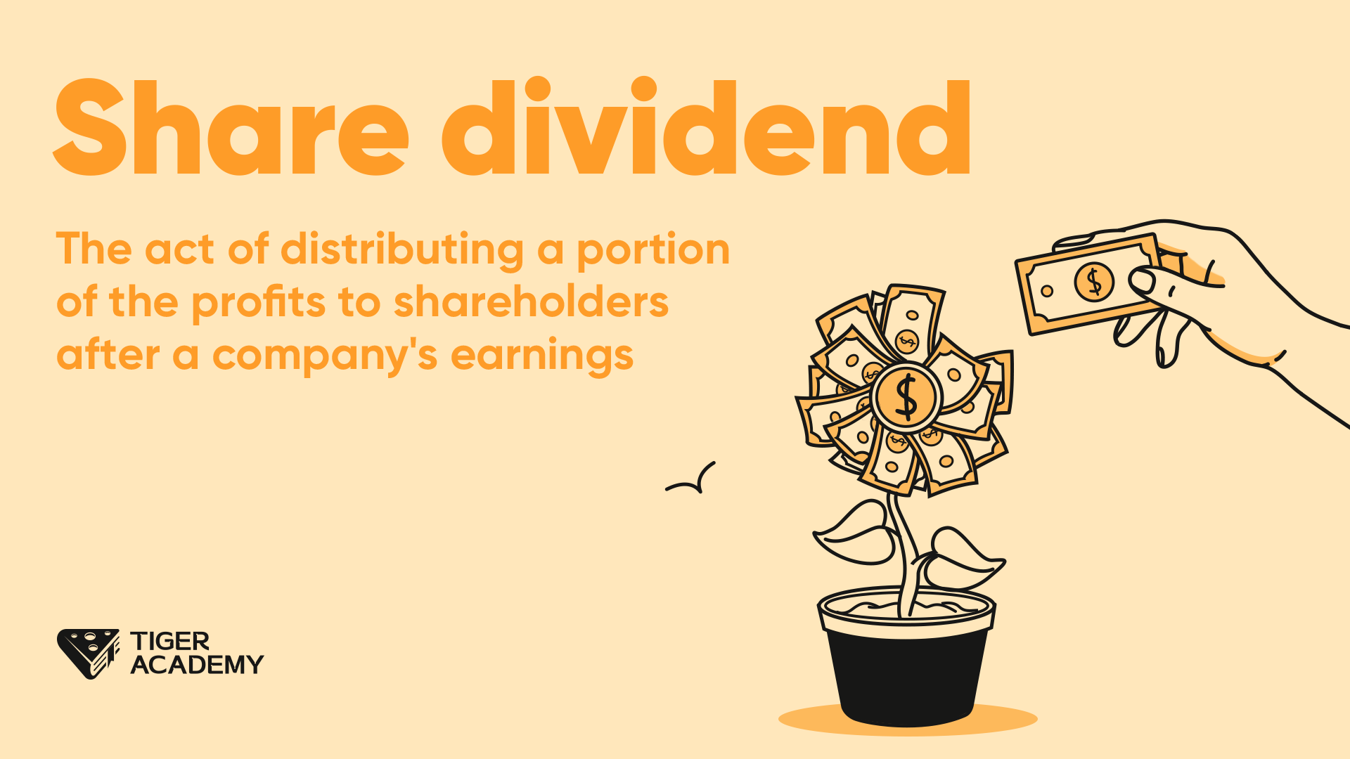 What is a share dividend? | Rask Media