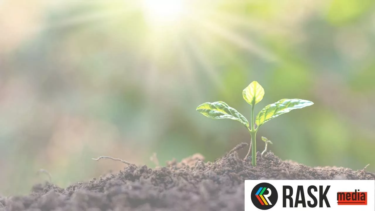 2 easy ways to value the BEN share price | Rask Media